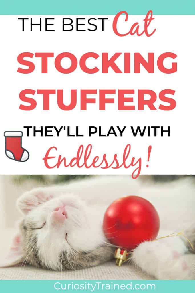 Best Cat Stocking Stuffer Ideas Your Cat Will Actually Use ()
